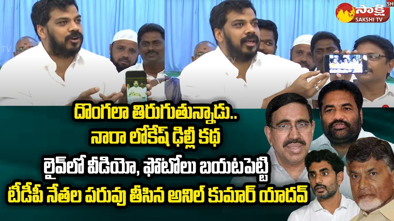 Anil Kumar Yadav Punches on TDP Leaders and Nara Lokesh - Andhrawatch.com