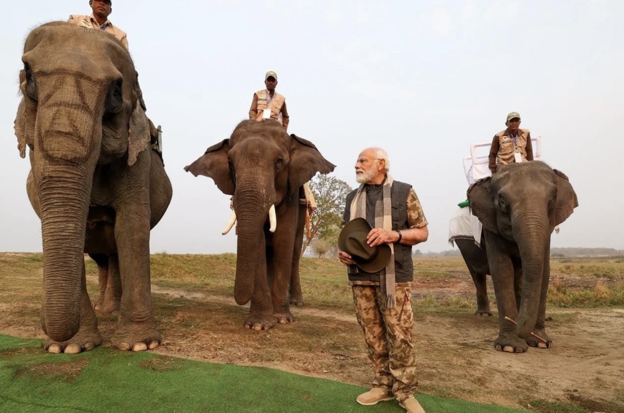 Lakhimai, Pradyumna and Phoolmai: 3 elephants whom PM Modi fed ...