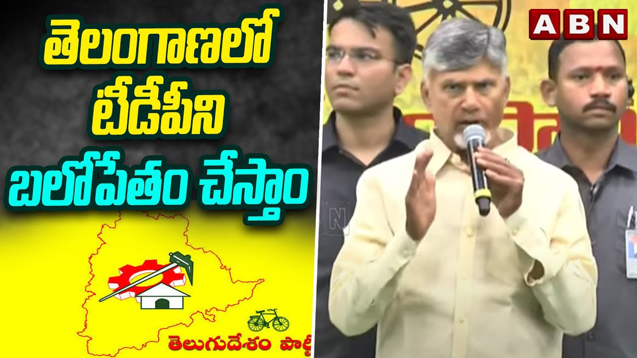 CM Chandrababu Speech After Meeting With Telangana Leaders - Andhrawatch.com