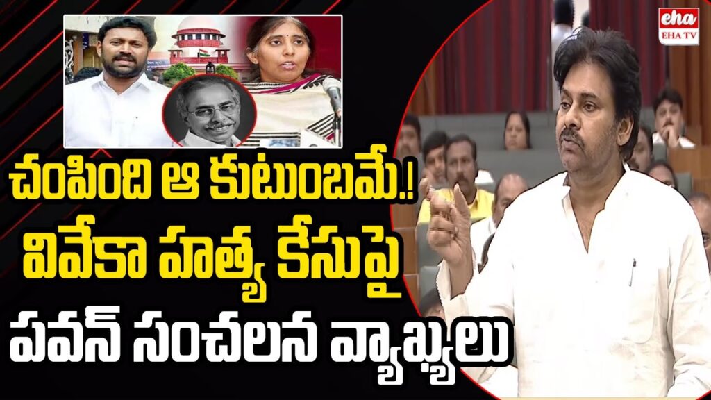 Deputy Cm Pawan Kalyan sensational comments on Viveka murder case | Andhrawatch.com